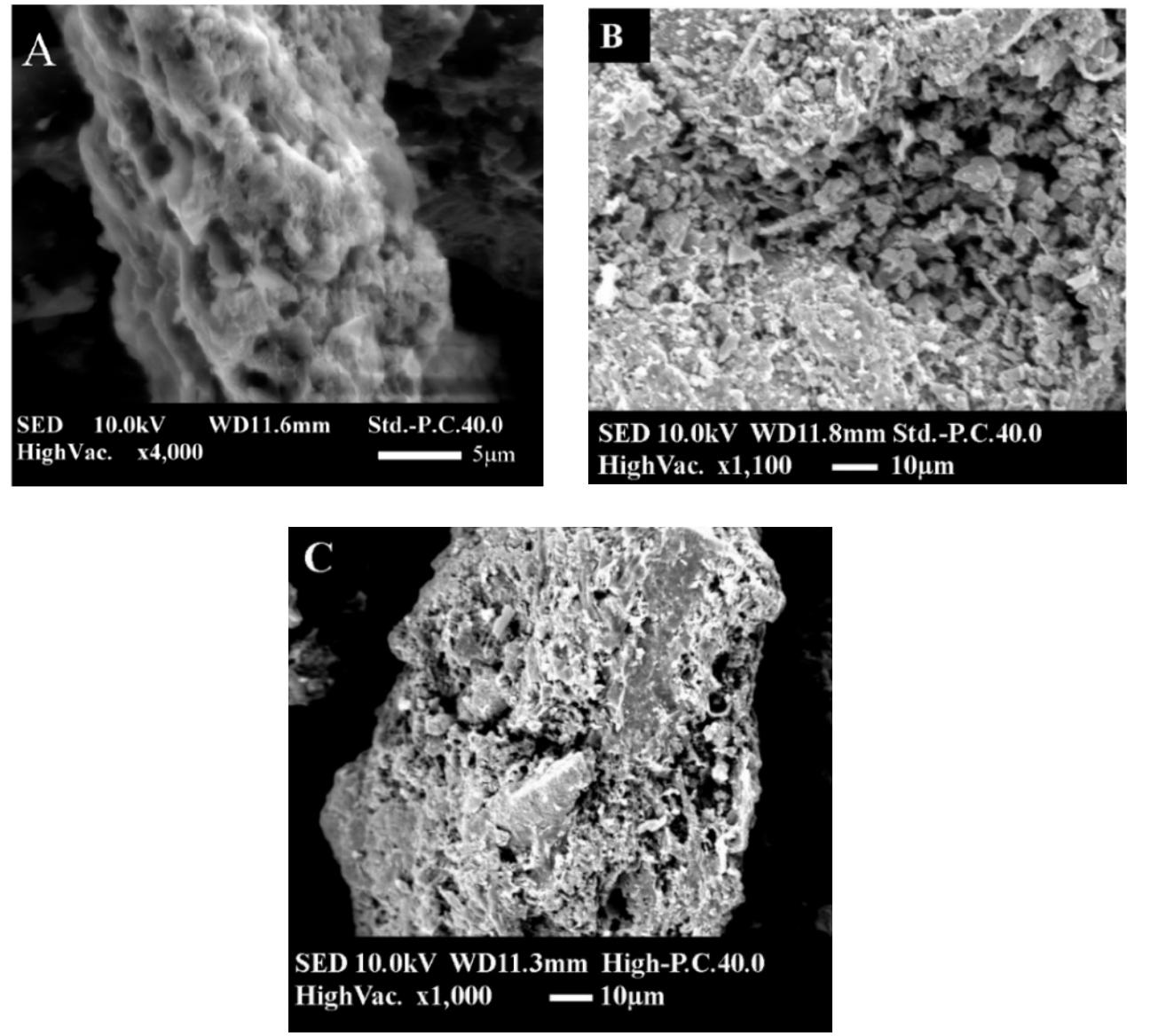 Sem images of smc. (a) pristine compost, (b) smcb/fe before