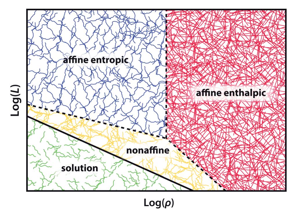 Phase diagram adapted from ref. 48, showing the prevailing
