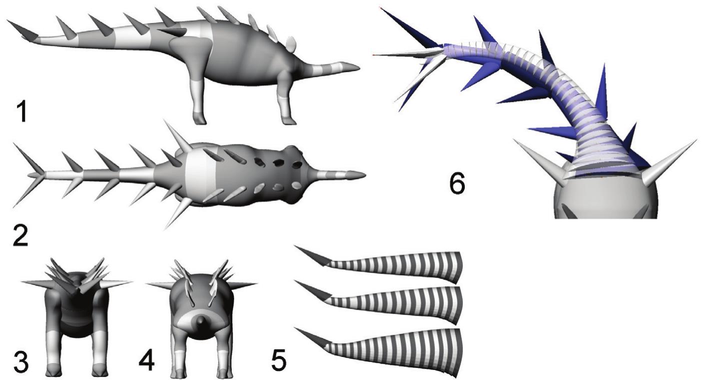 Kentrosaurus aethiopicus cad model in lateral (1), dorsal