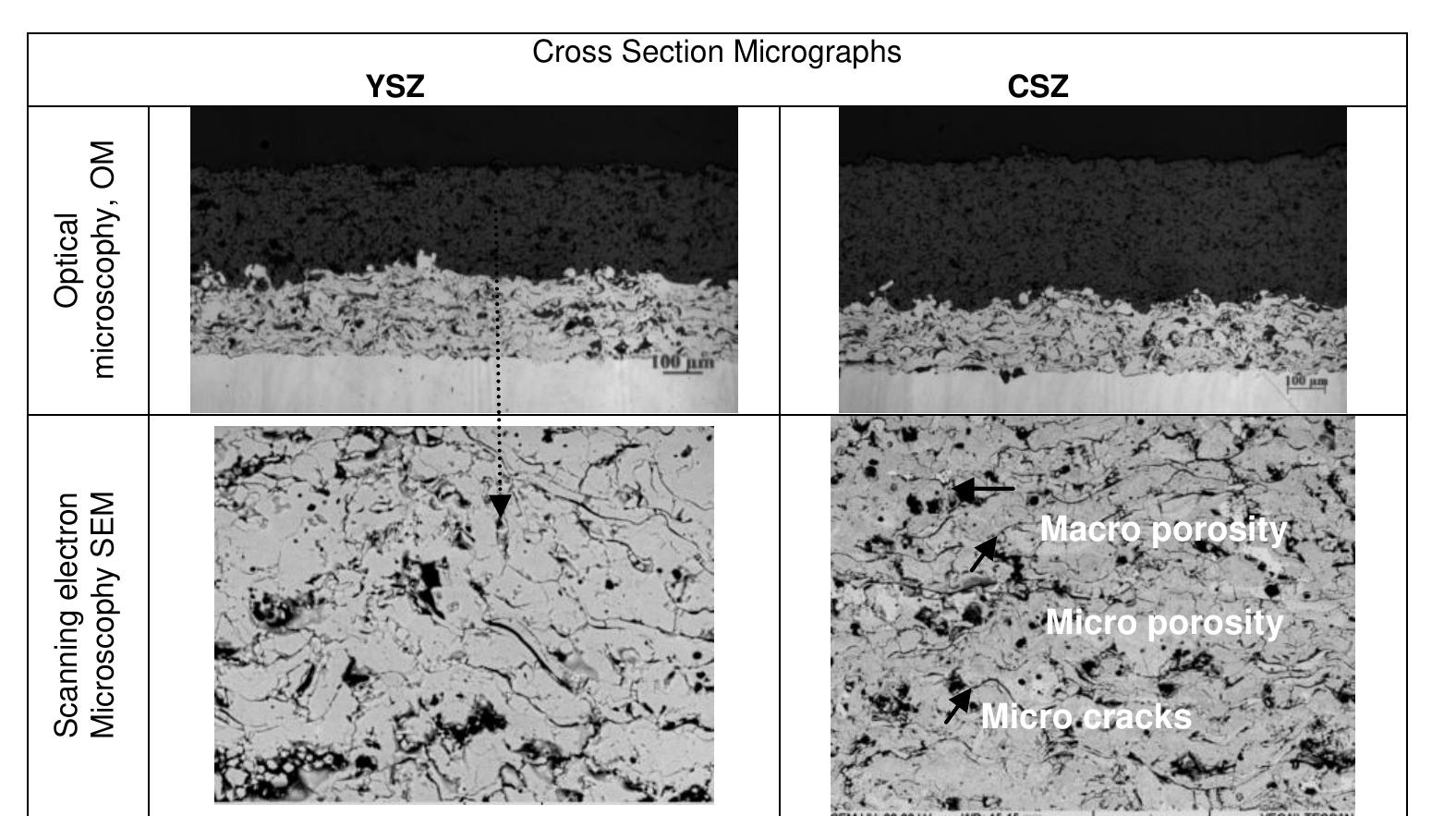 Cross section and microstructure of the coatings