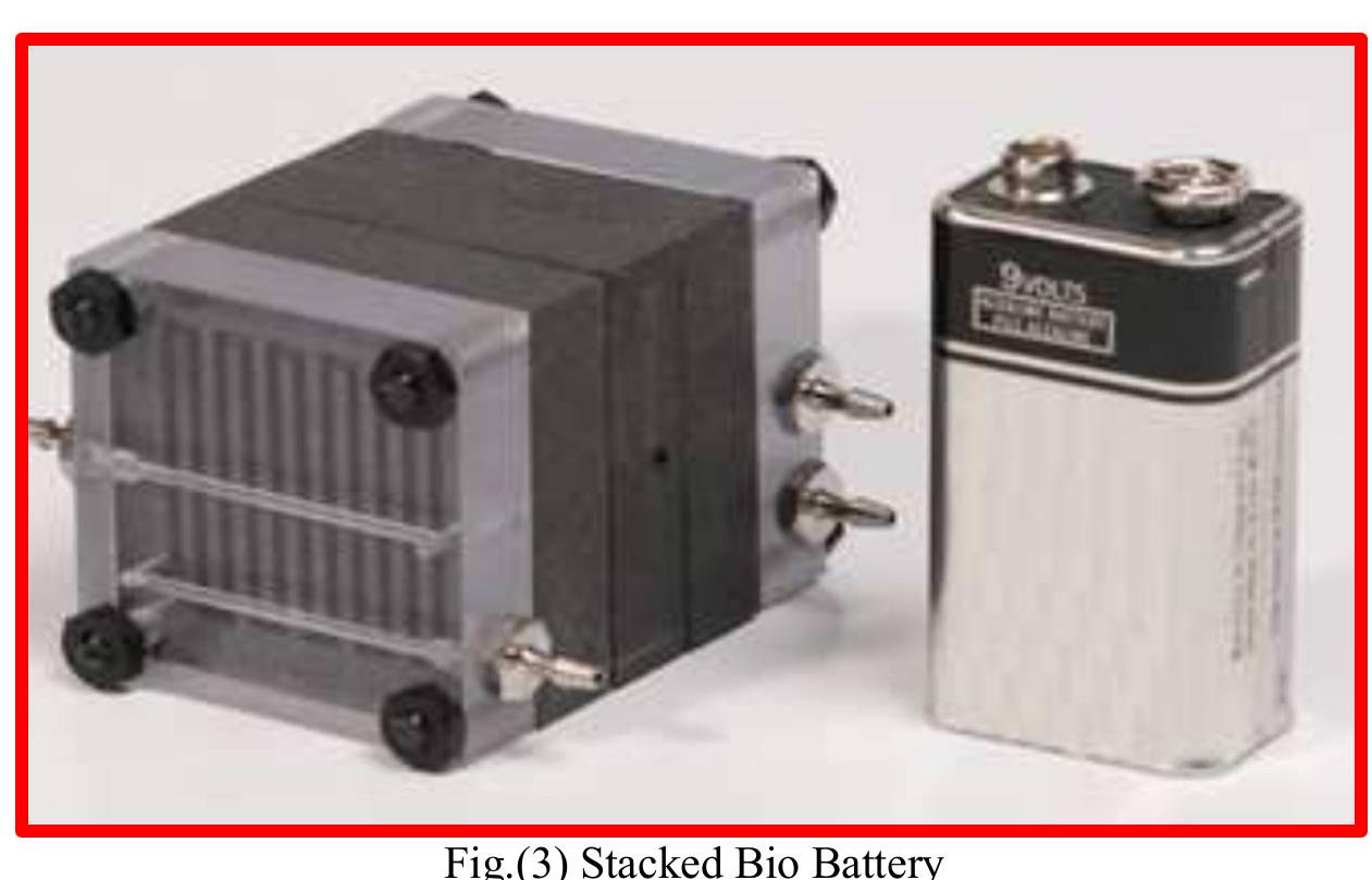 There are two types of bio batteries passive system type