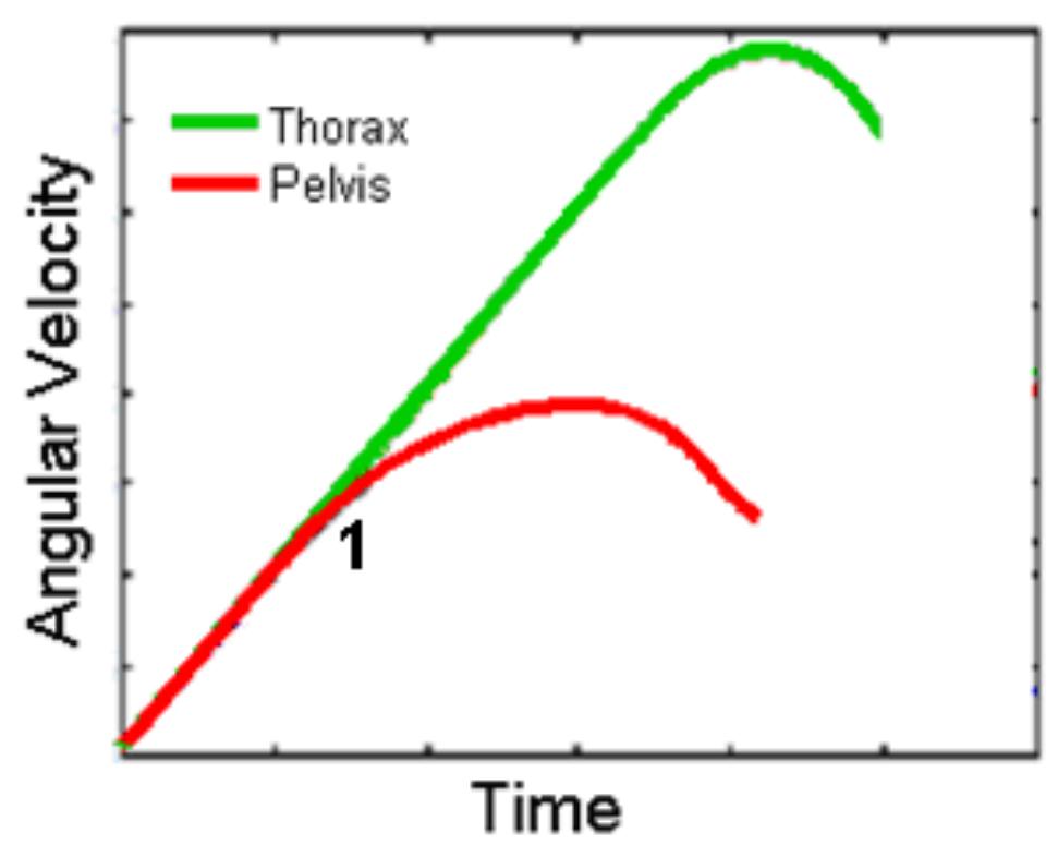 Pelvis-thorax angular velocity v time graph we will wind the