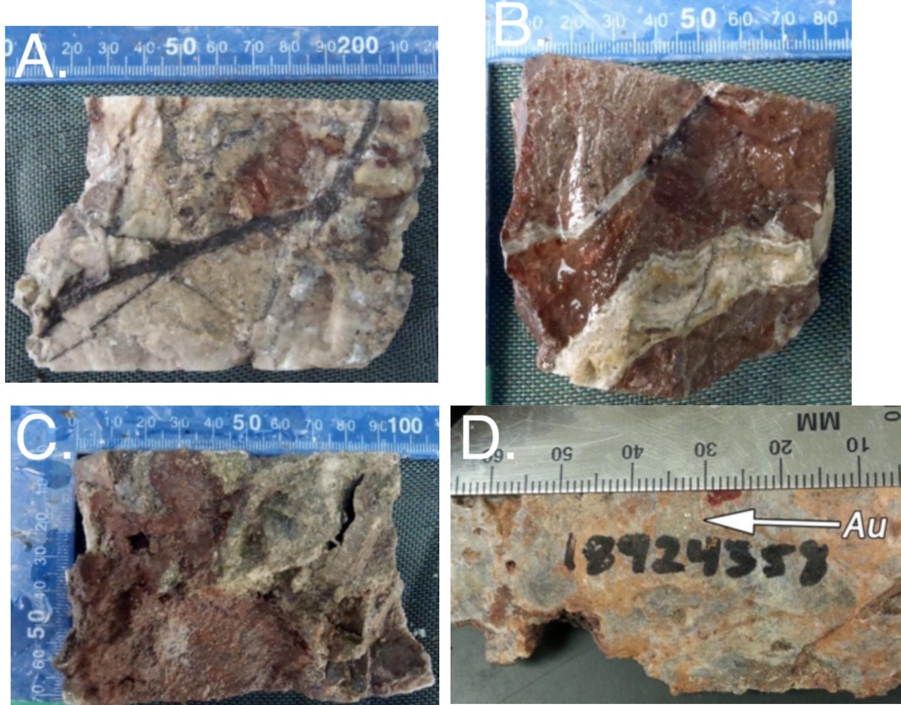 Examples of phase | mineralization. scale in mm. (a)