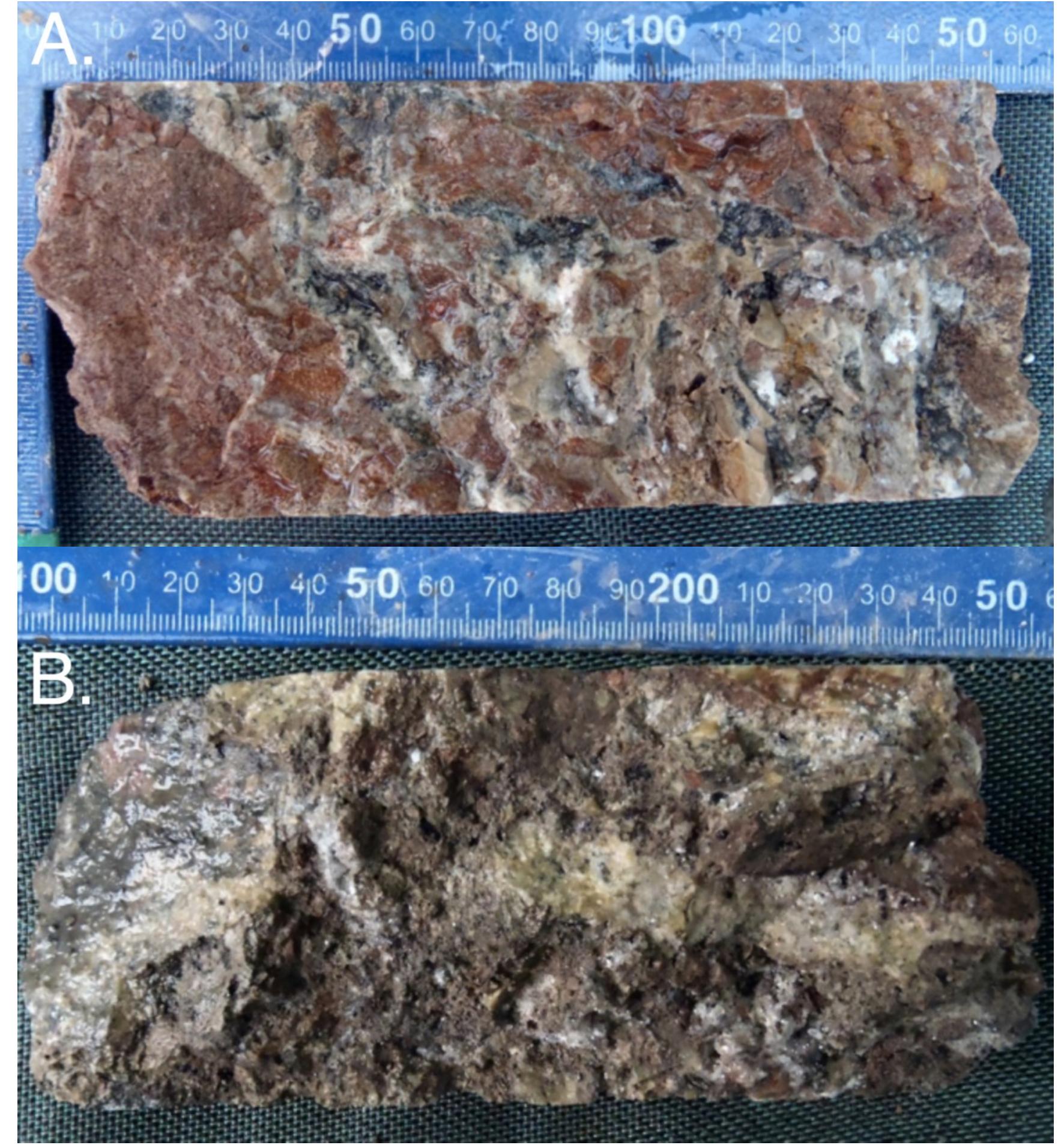 Examples of phase ii mineralization, scale in mm. (a)