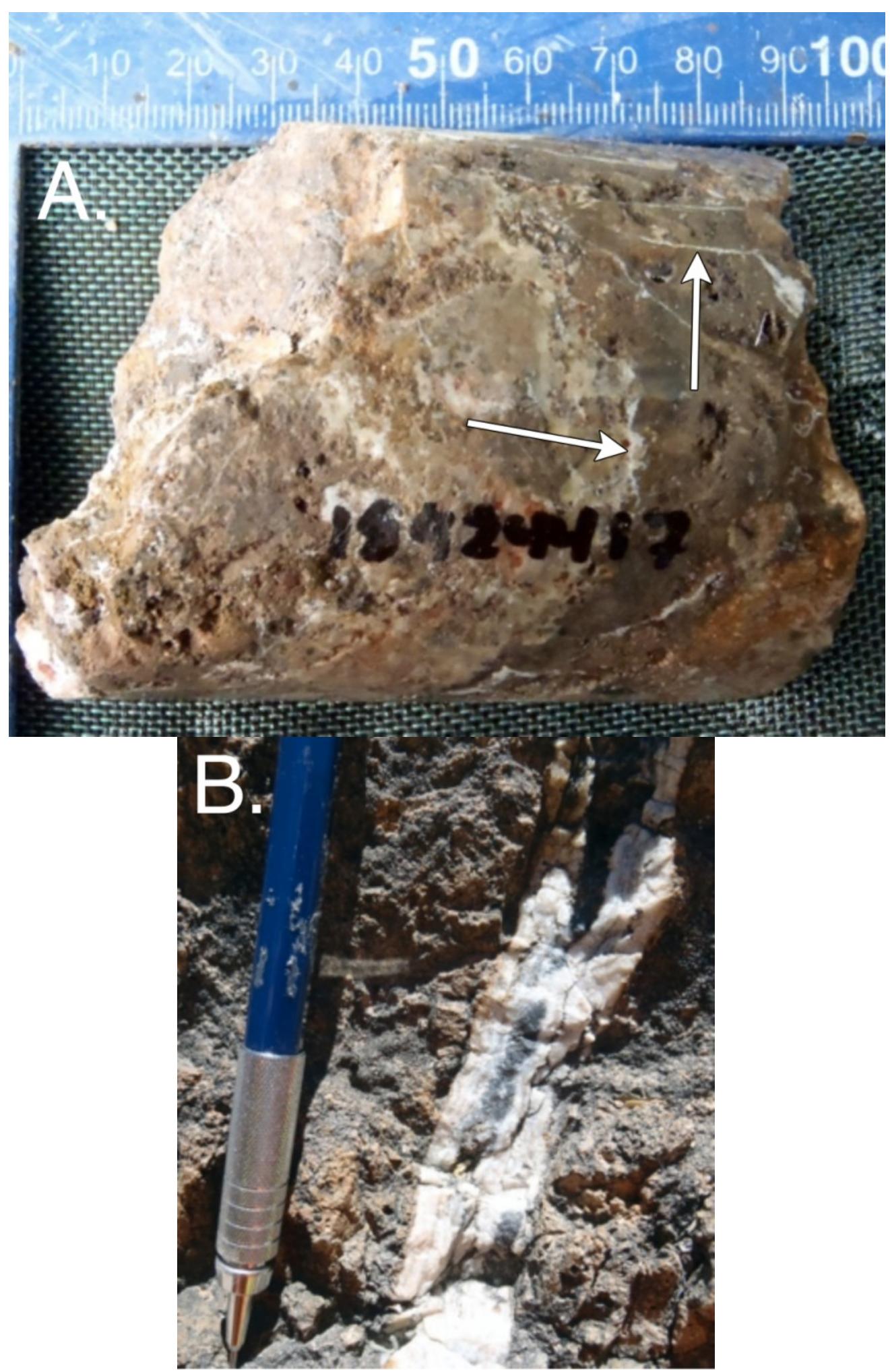 Examples of phase iii mineralization. (a) thins, white phase