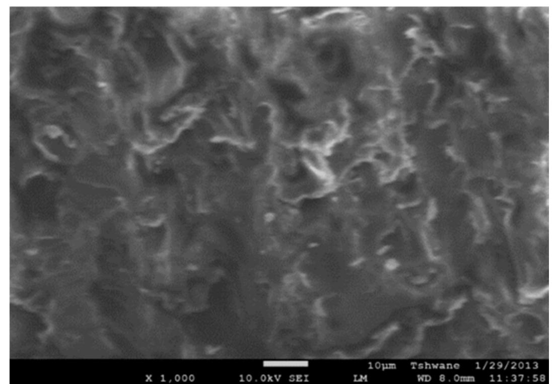 Sem micrograph of epoxy resin (x1000) Sem micrograph of epoxy resin (x1000)