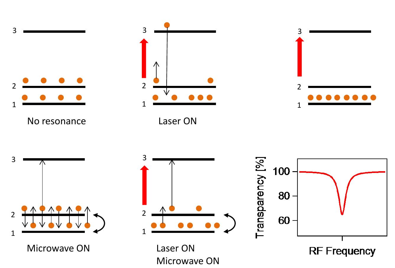 2: schematic representation of the interactions involved in