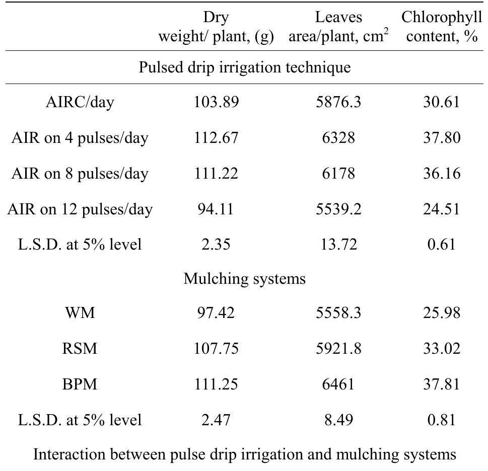 Table 6 - Effect of pulse drip irrigation and mulching