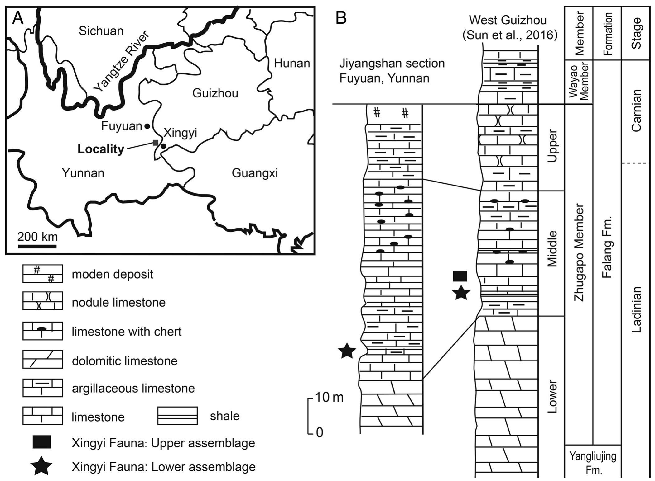 A, schematic map of the fossil locality. b, stratigraphic