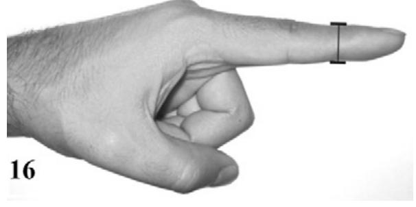 Distal joint: depth (forefinger): hand is closed with the