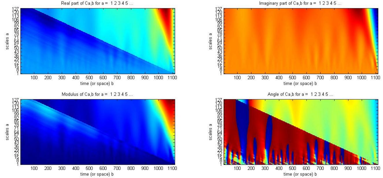 Complex morlet wavelet transform coefficients plots: first