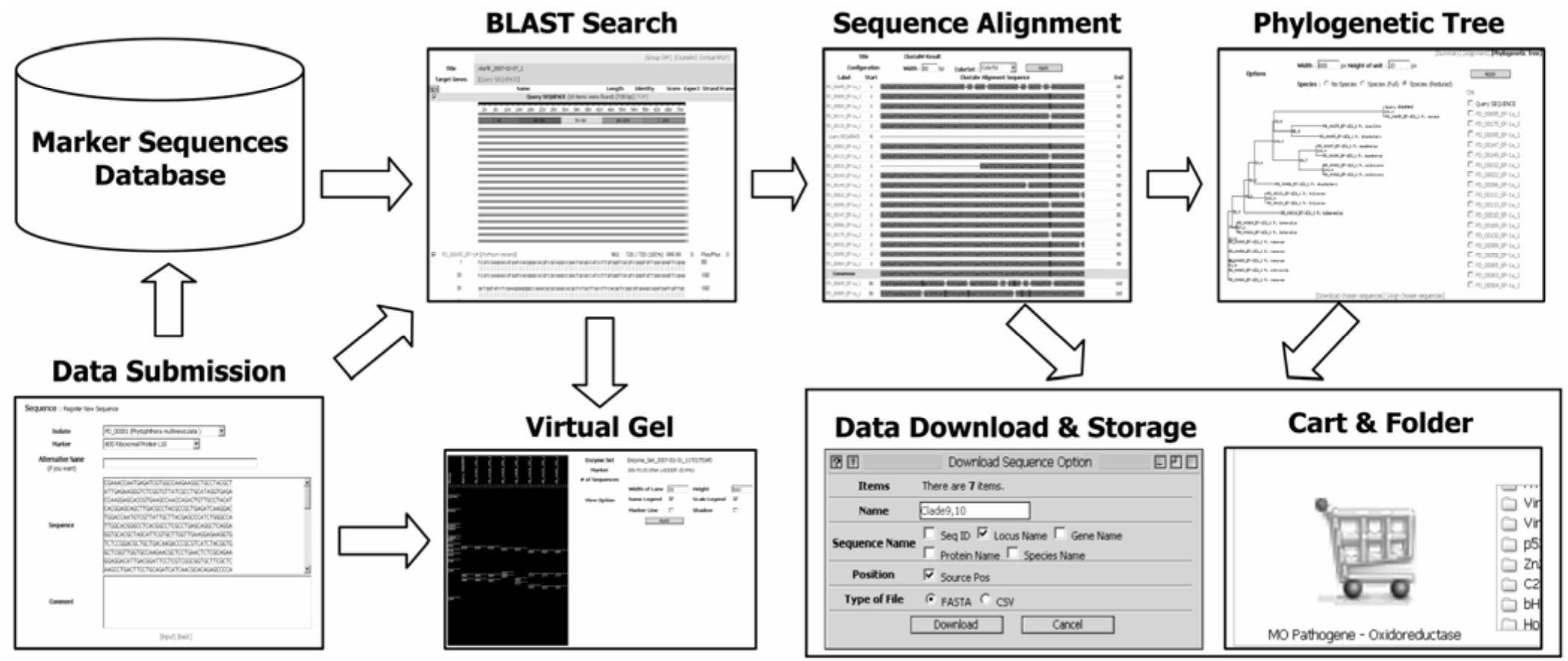Data flow via the phytophthora database (pd). a marker