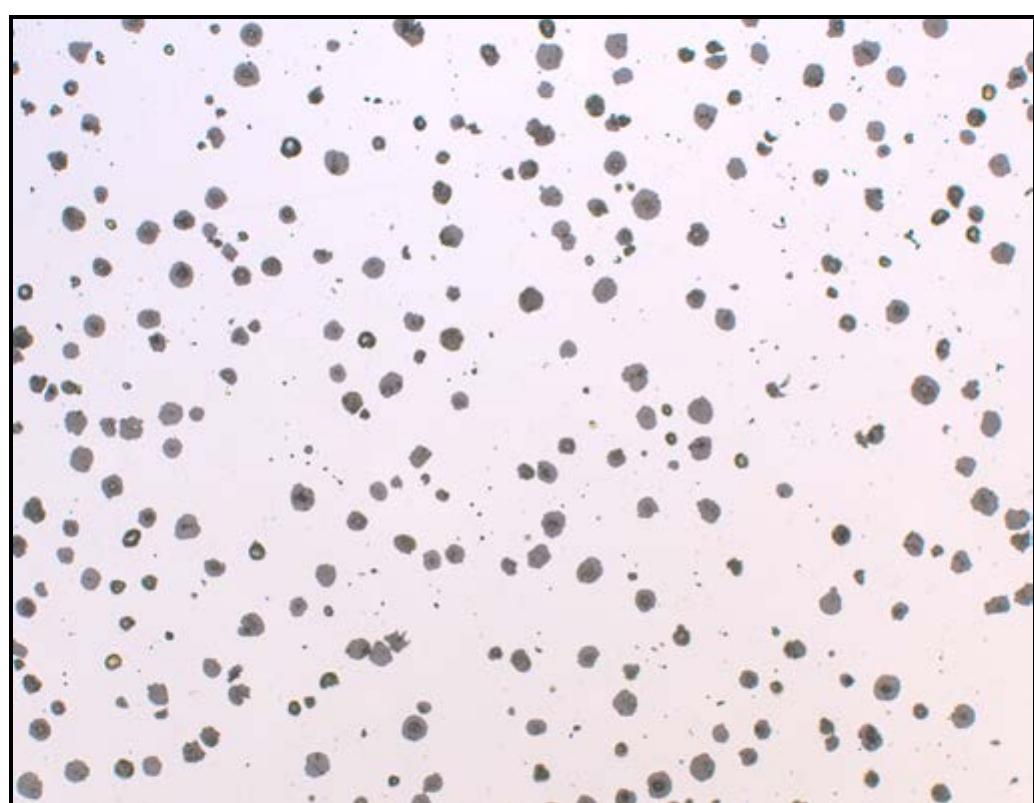 5. microstructure of ductile iron. the graphite’s are