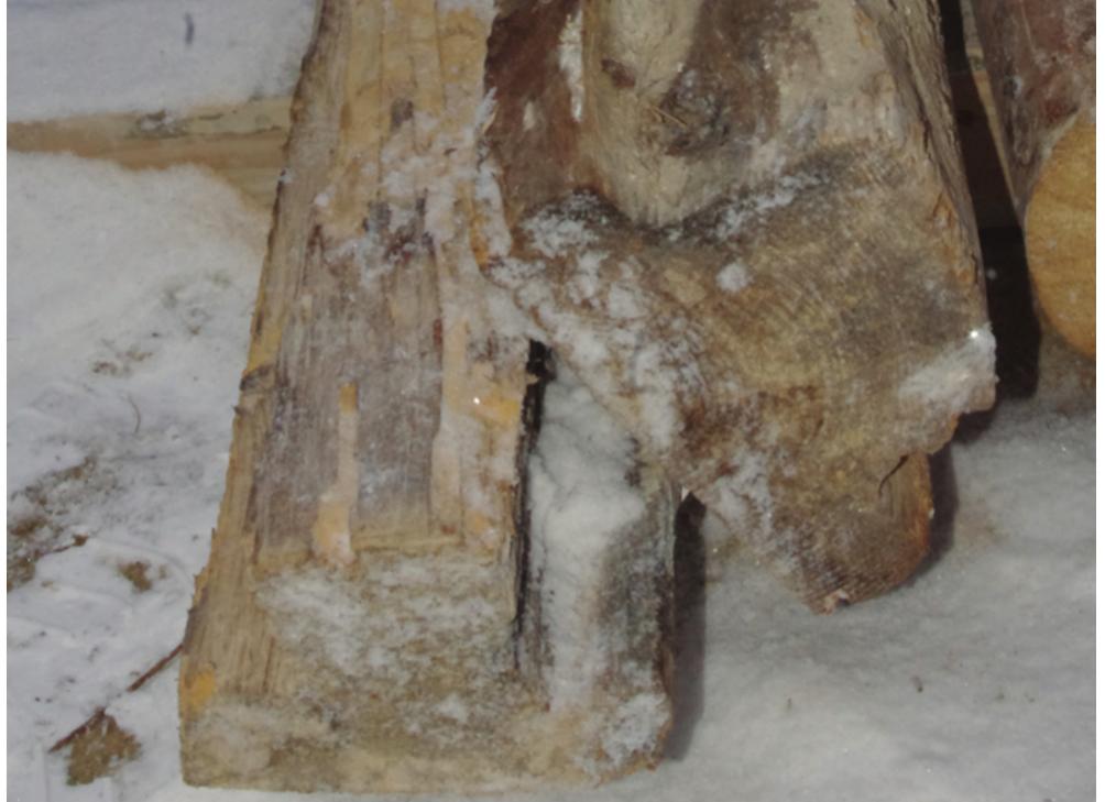- timber joists with an inverted t-cross section from a