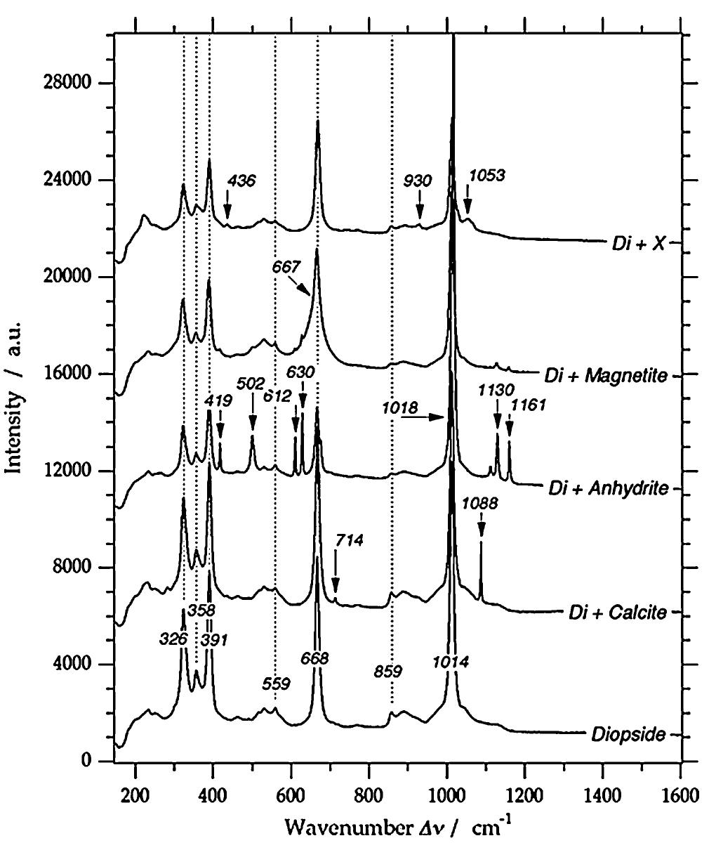 Raman spectra of several solid phases in primary inclusions