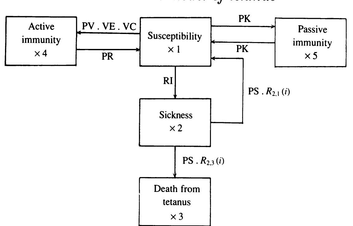 Flow-chart of the epidemiology of tetanus in developed