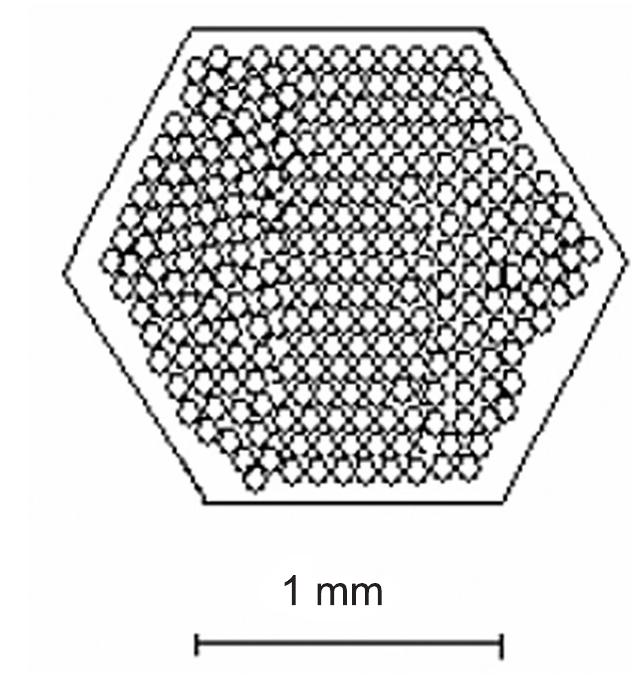 Diagram of cross-section of multicapillary column gas