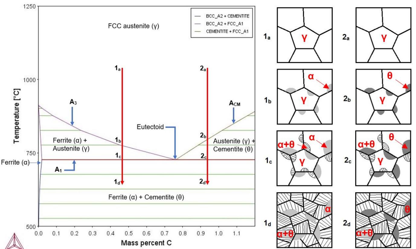2: the fe-c equilibrium phase diagram, as calculated with