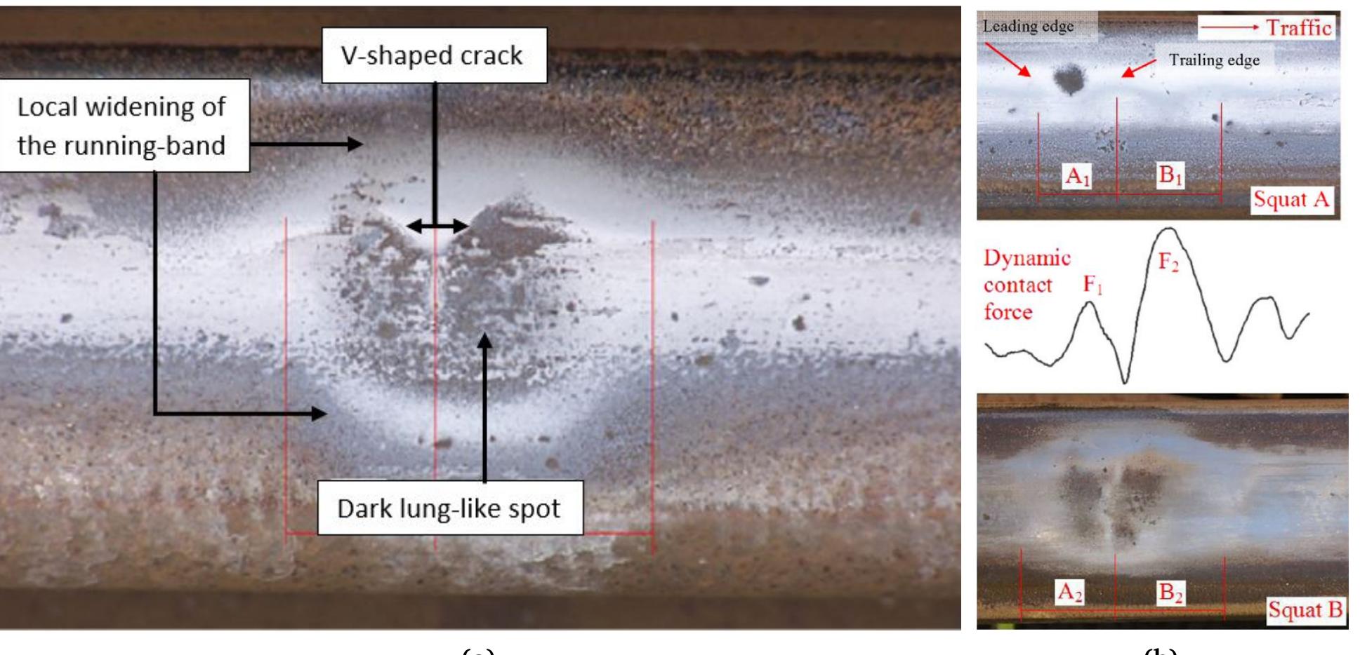 21: (a) visual appearance of a squat on the running band.