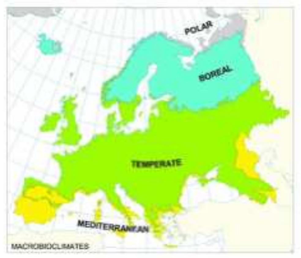 Image of bioclimatic map of europe on buildings at different
