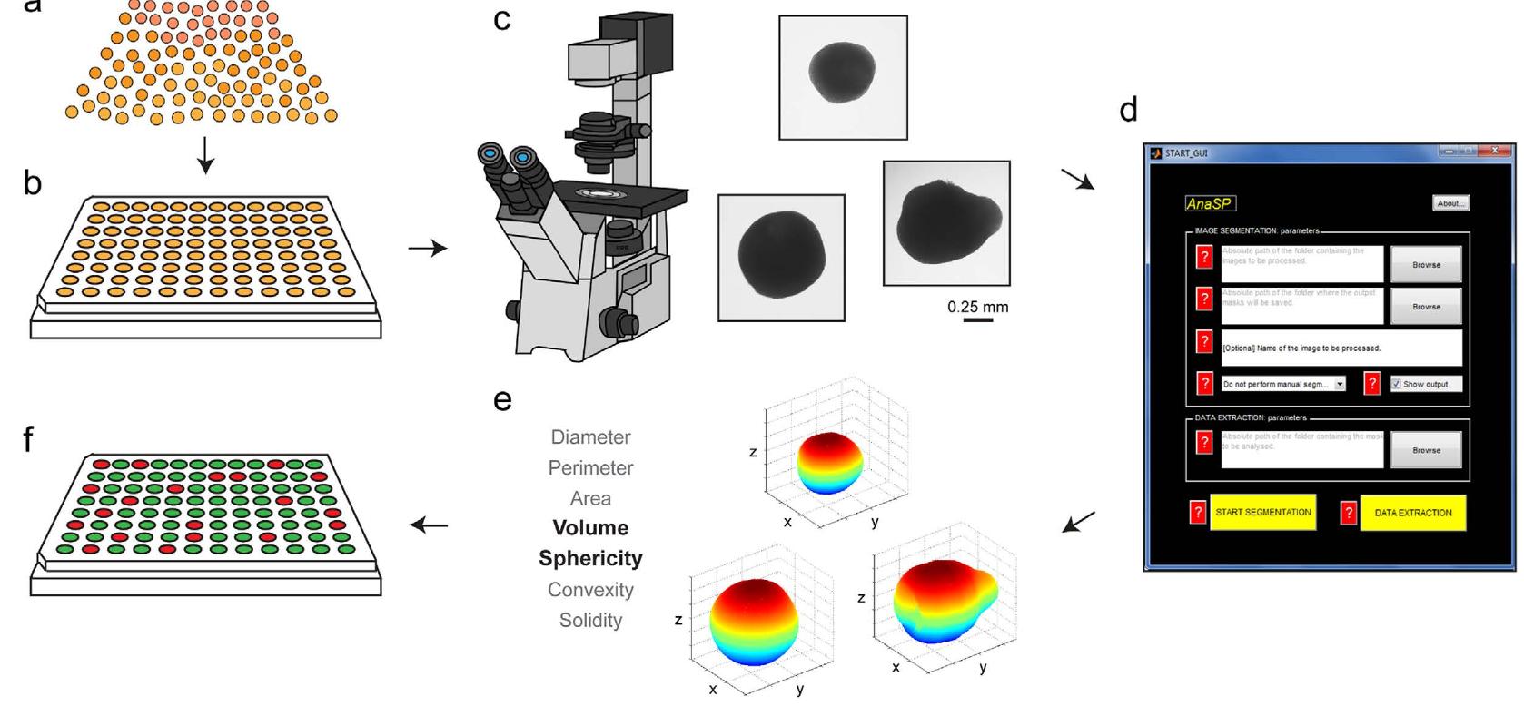 Schematic flow-chart of the image-based approach proposed to