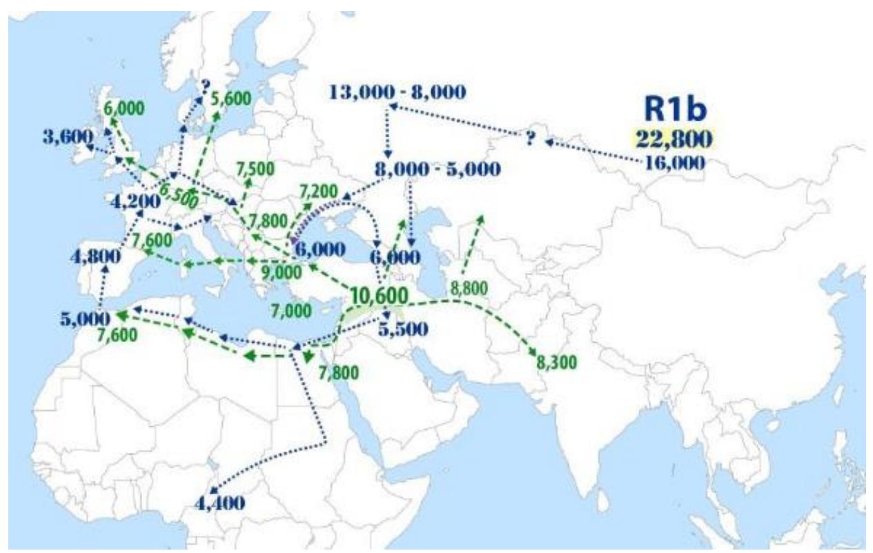 Map of the spread of haplogroup r1b according to anton