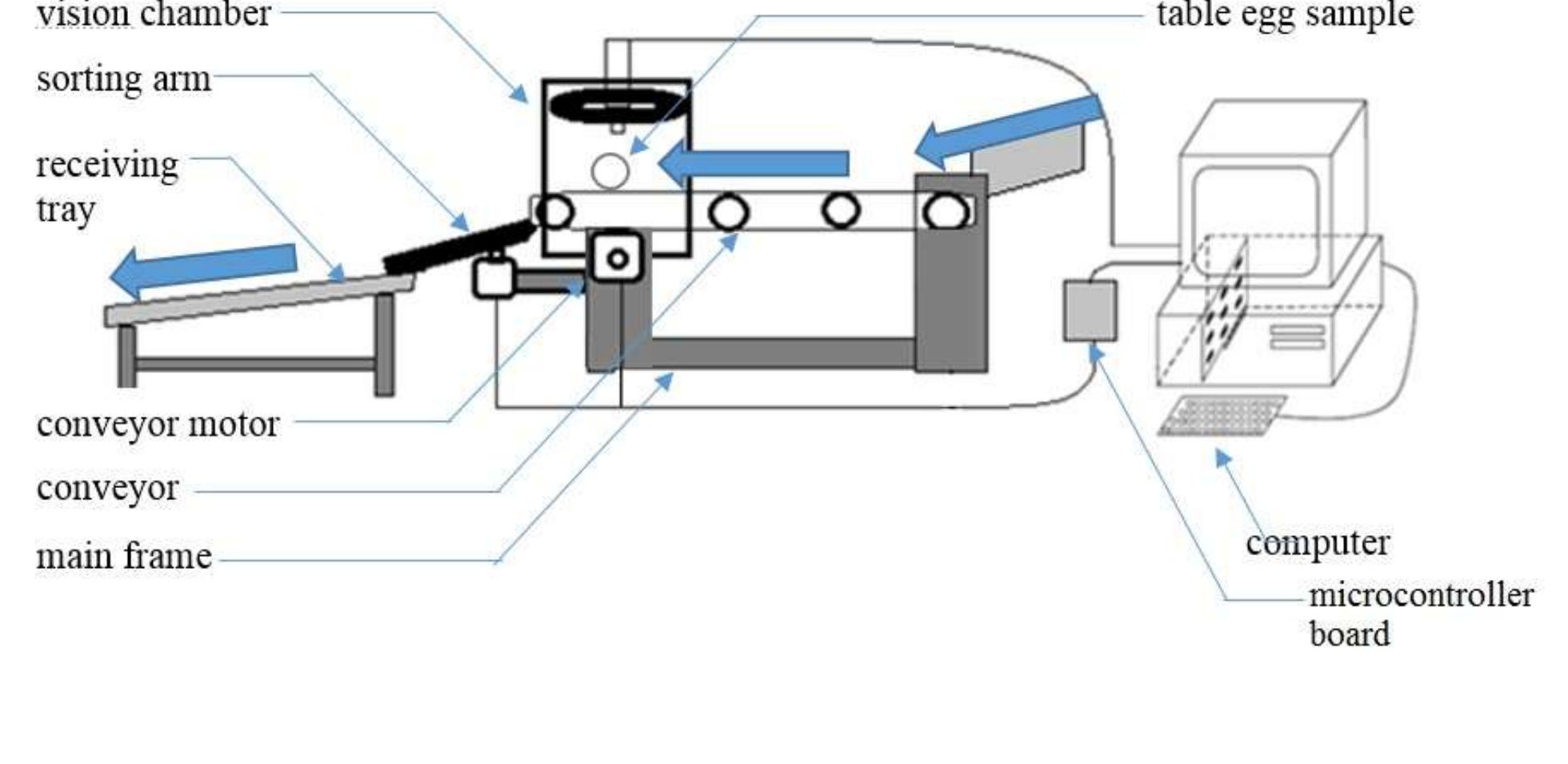 Component layout for the automated table egg sorting