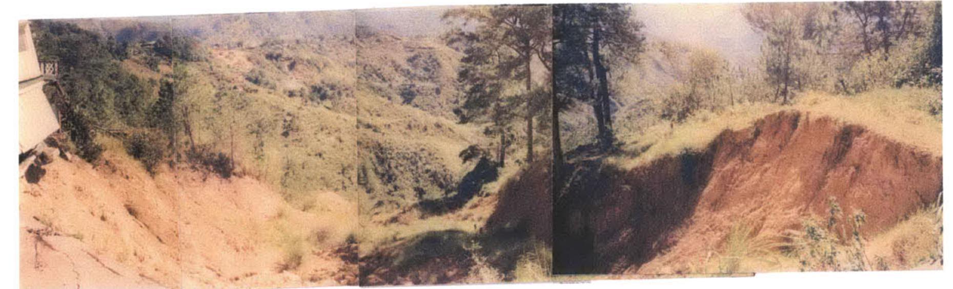 Seen at the left and the right sides of the photograph.