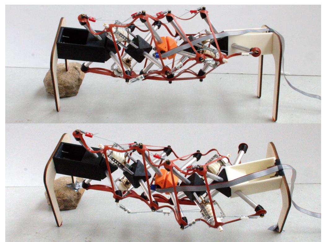 Prototype of the laika quadruped robot with the flexible,