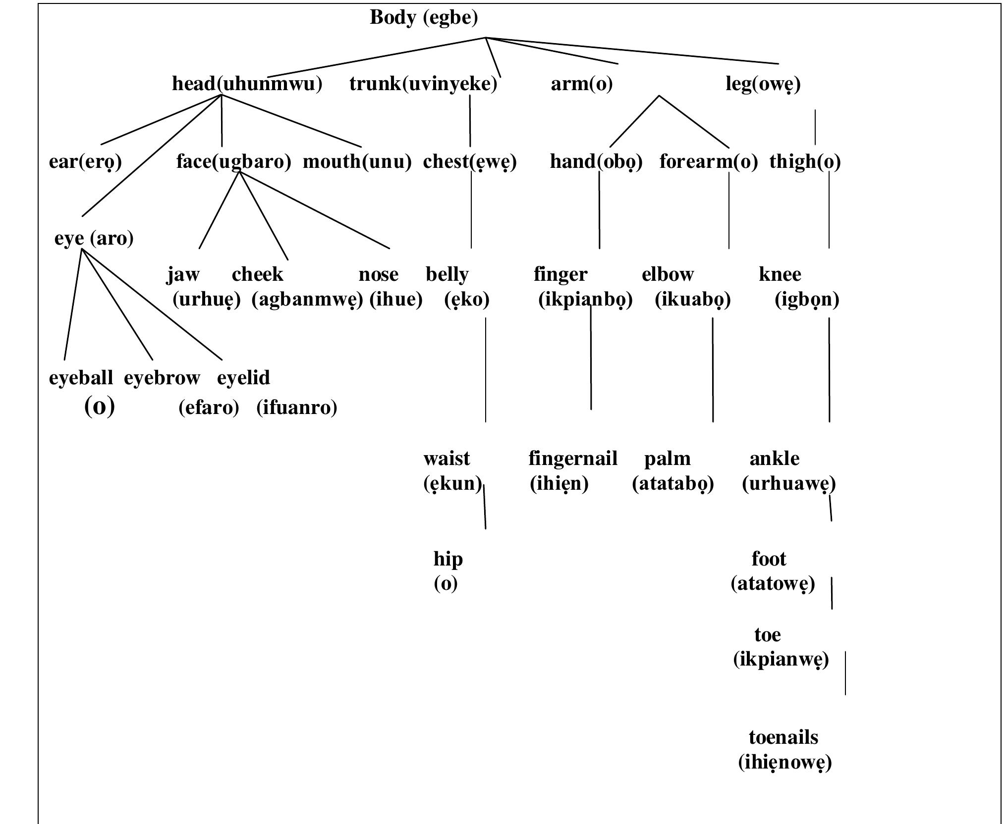 Figure 1 - from A Contrastive Analysis of Some Semantic