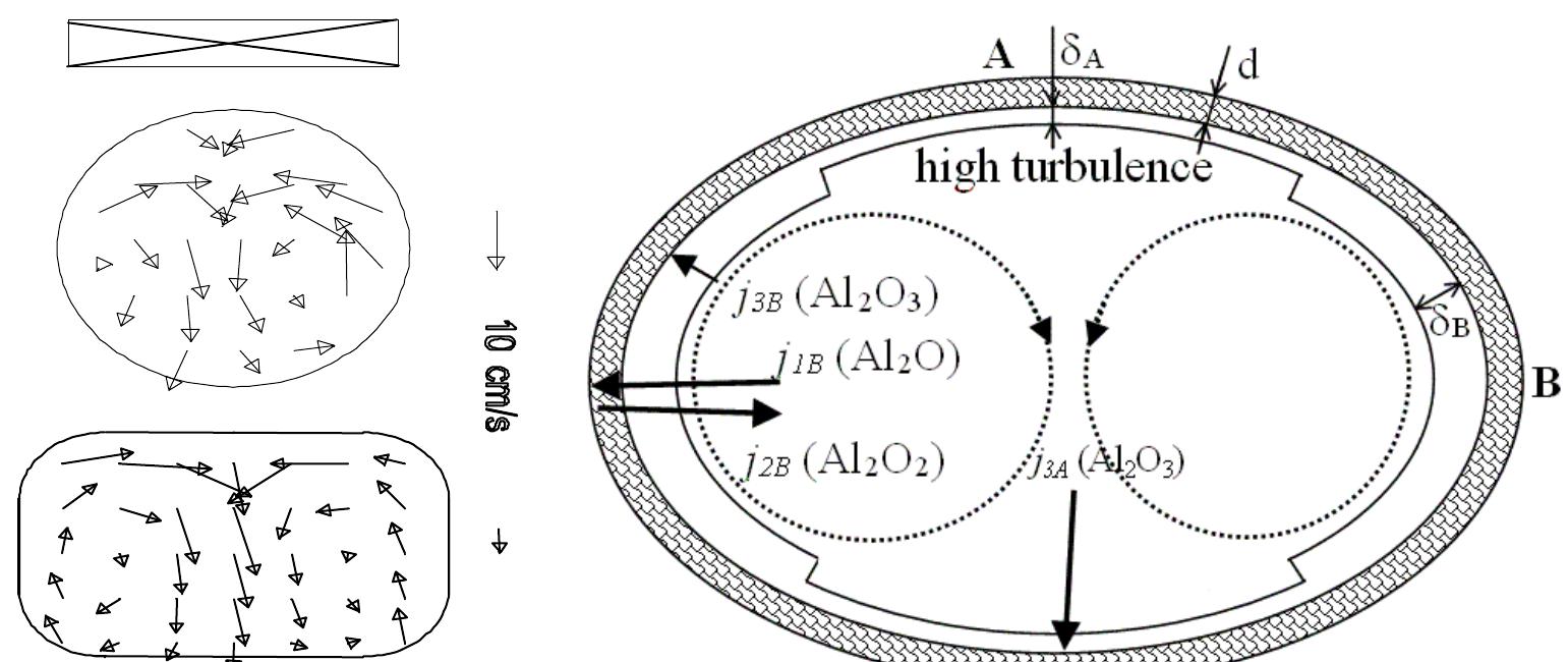 Example of mhd flow in the cross-section of channel near
