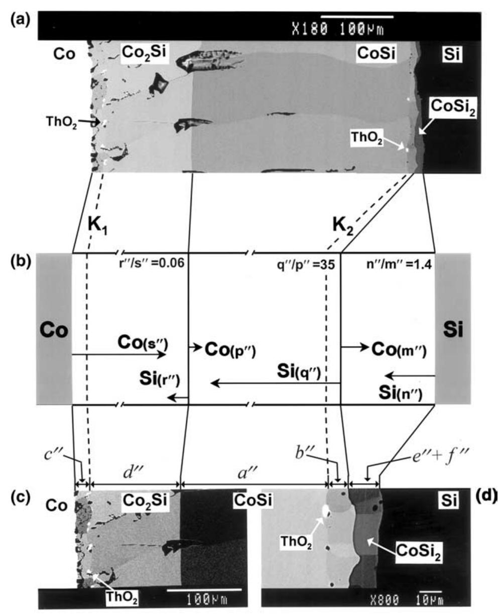 (a) backscattered electron image of a cross section of a