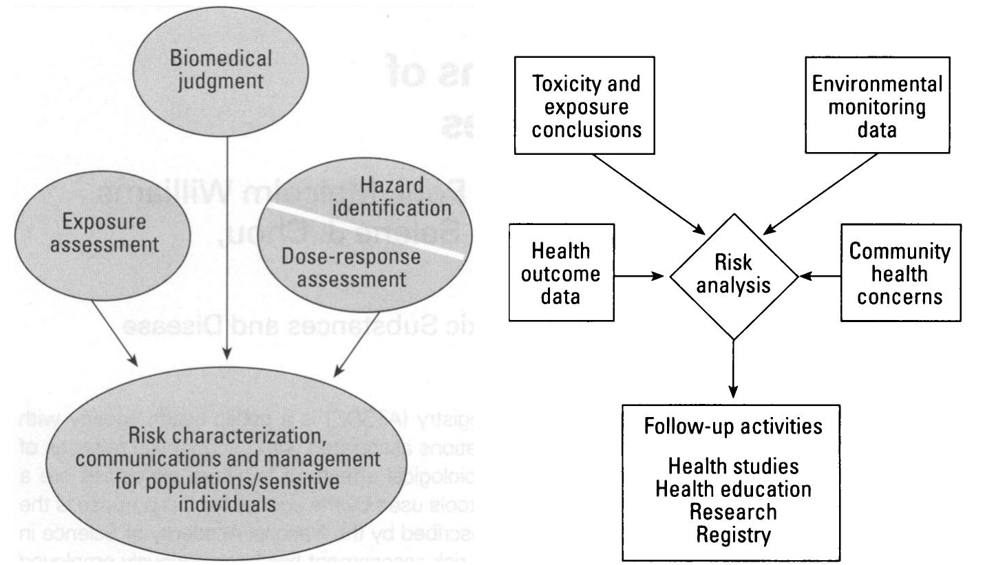 Risk analysis as a multidimensional endeavor, encompassing