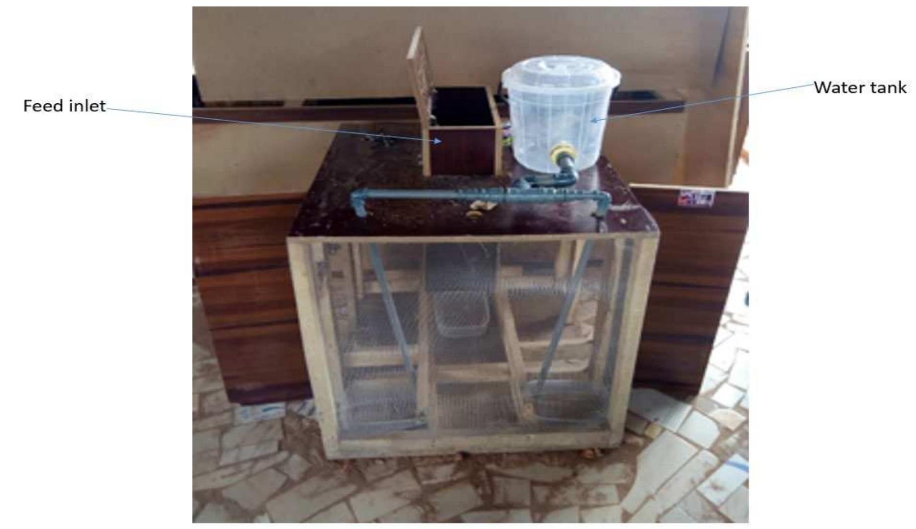 (PDF) Design and Implementation of an Automated Feeding System for ...