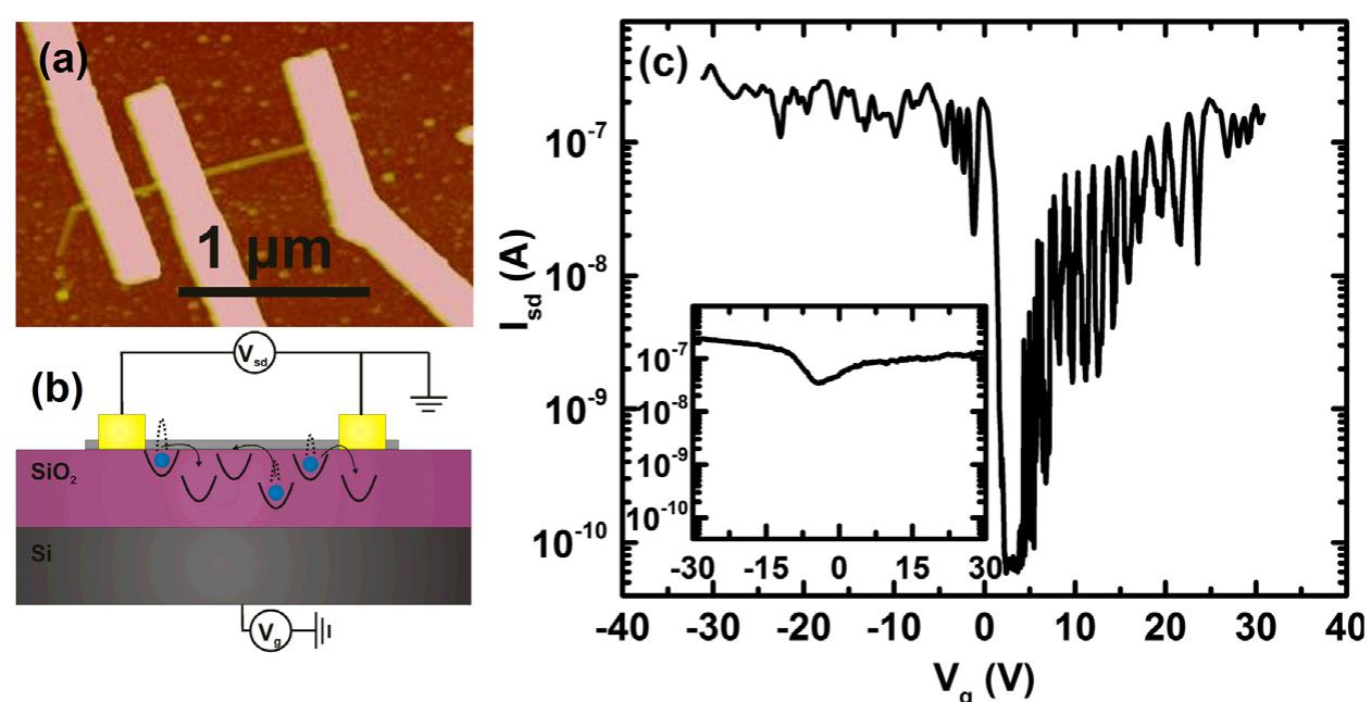 Ig. 1 - (a) afm image of the typical sample. (b) schematic