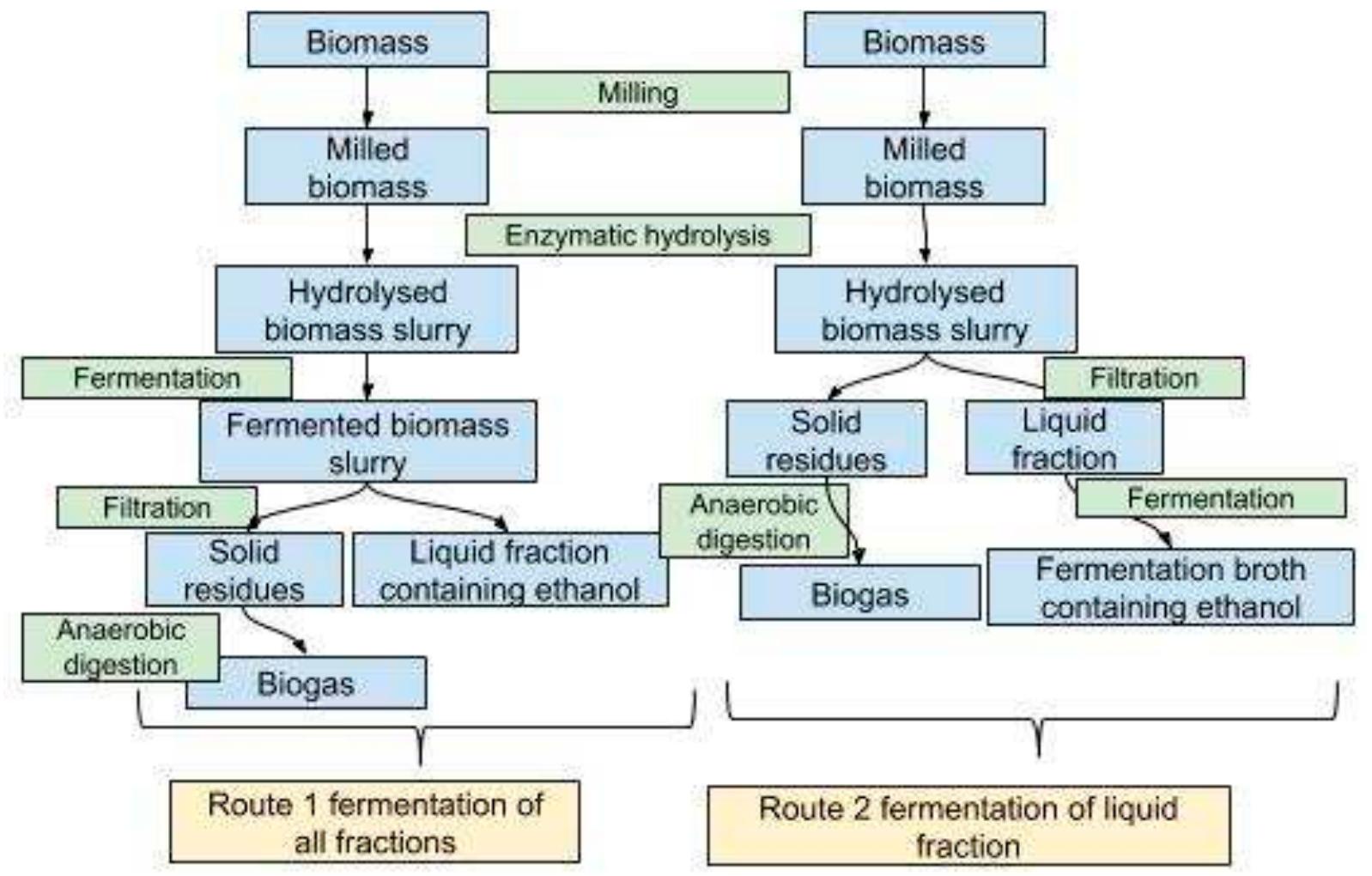 A flow chart of the studied routes of biomass for biofuel
