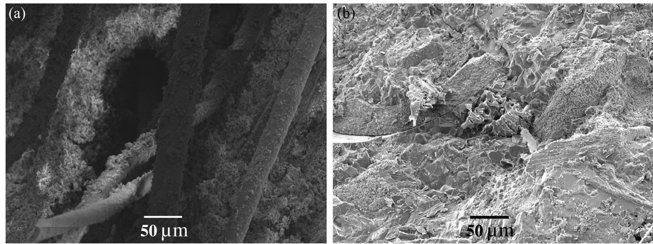 Sem images of free surfaces of (a) lime mortar and (b) blue