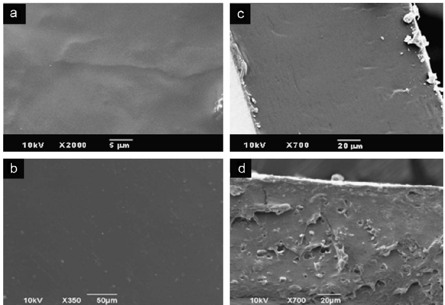 Micrographs of film surface: (a) native starch and (b)