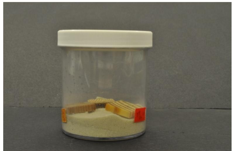 Sample test jar with three different wood species.
