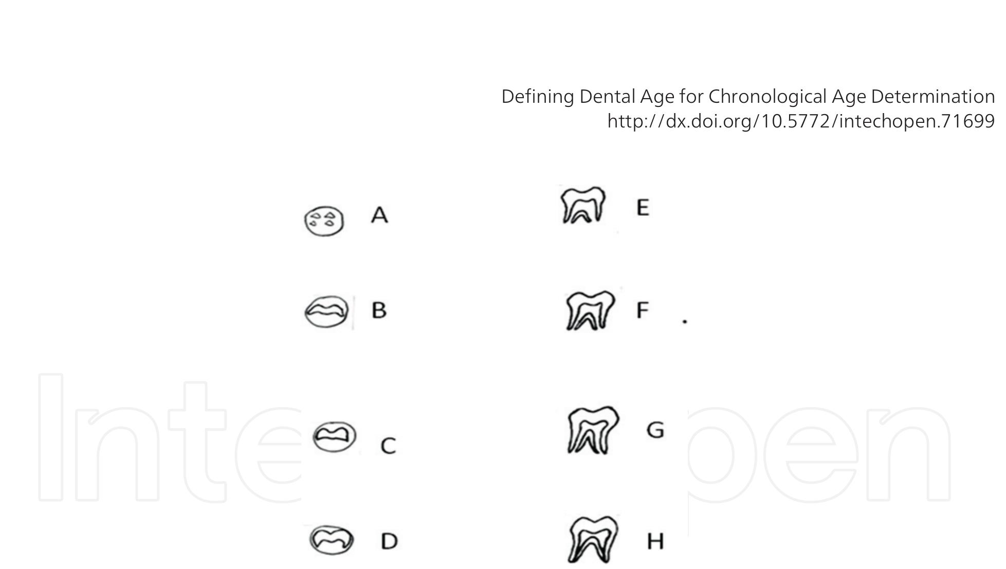 Schematic representation of the demirjian, goldstein and