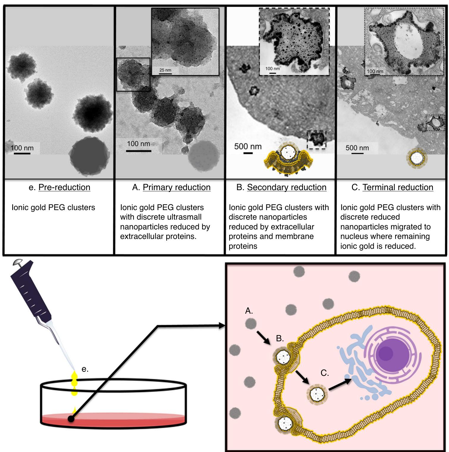 Scheme of progressive reduction process. pictorial diagram
