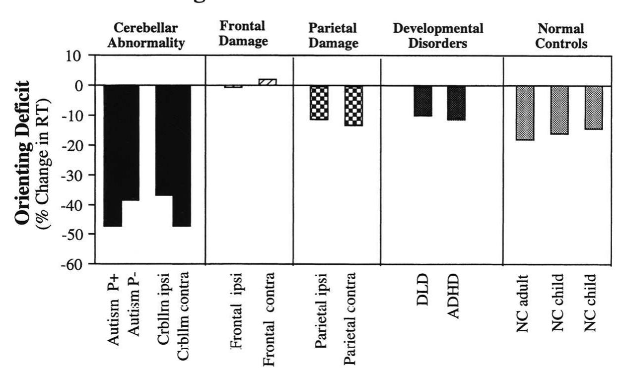 (top) diagram of one version of the posner visual spatial