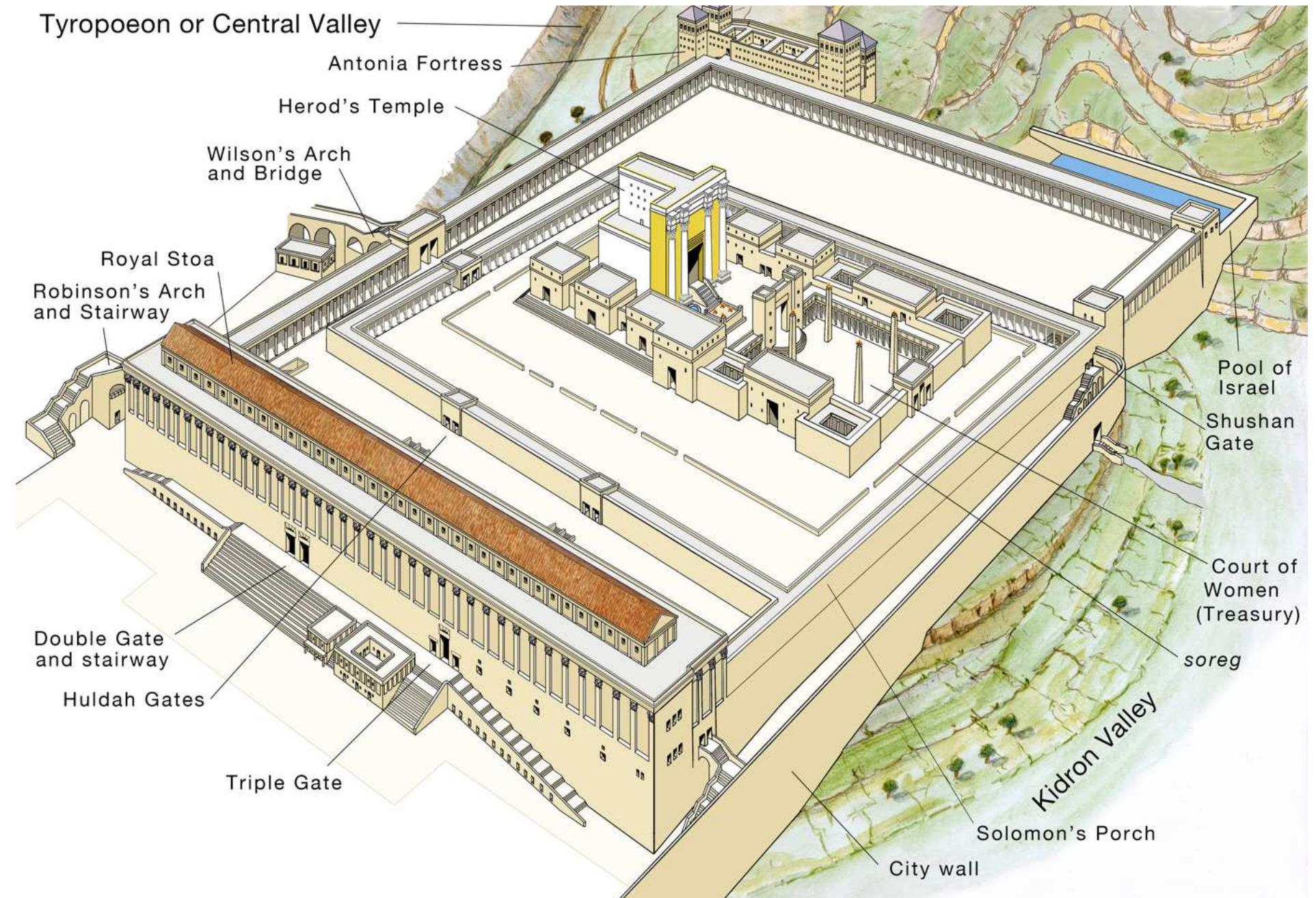 The first century ce historical temple mount. drawing by