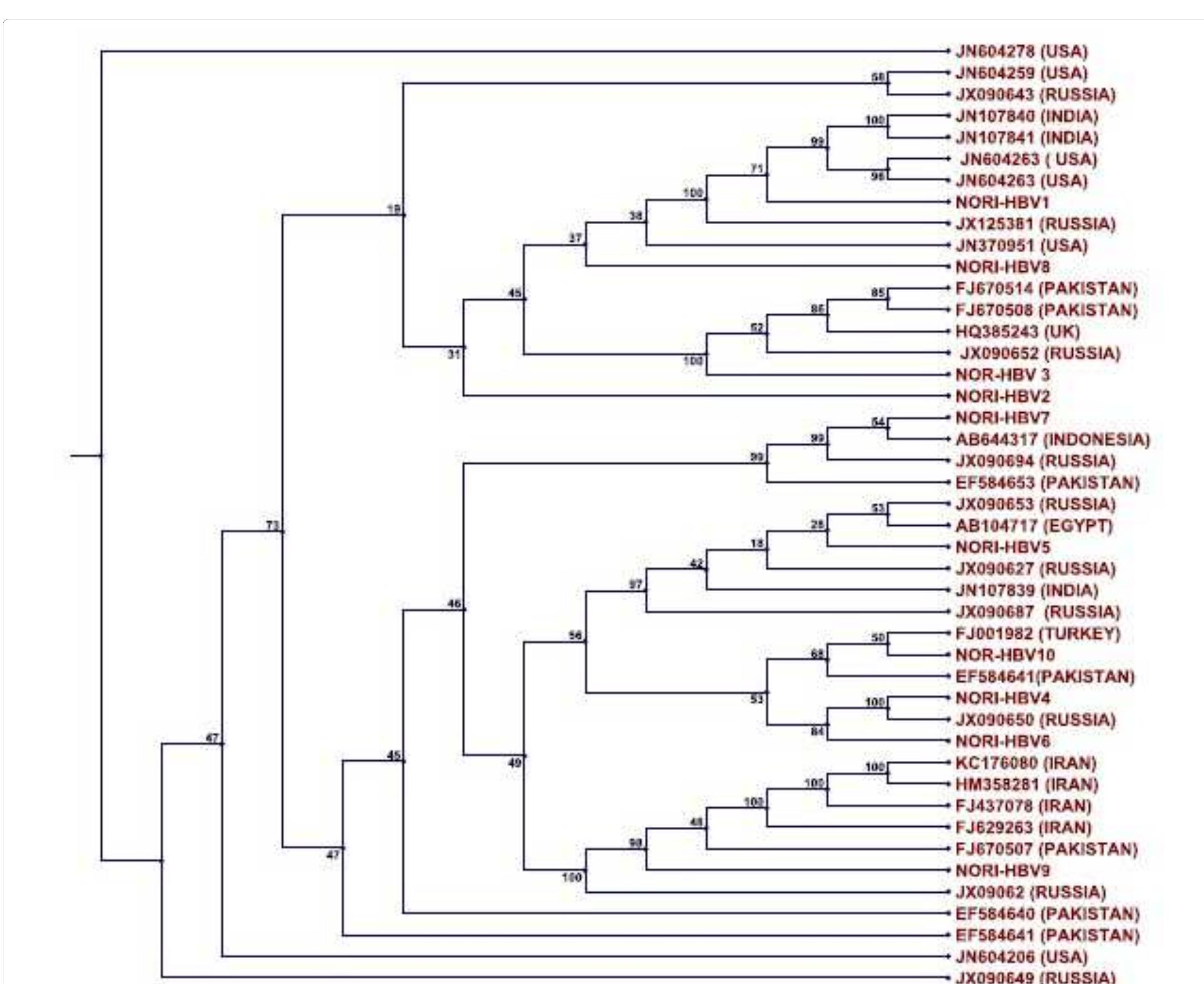 Phylogenetic tree construction: phylogenetic tree