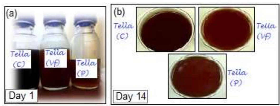 Figure 4 - An insight into the Ethiopian traditional