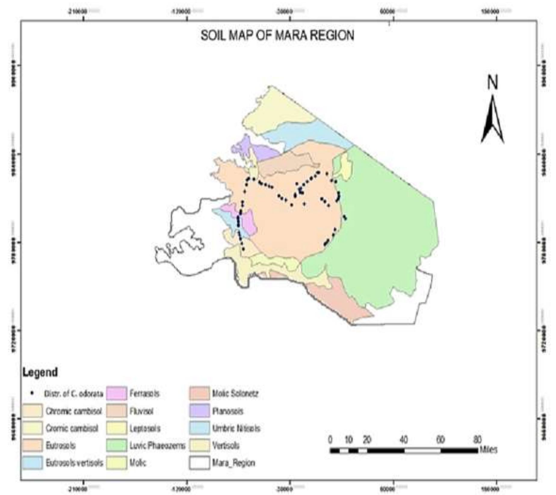 The soil map of mara region showing the distribution of