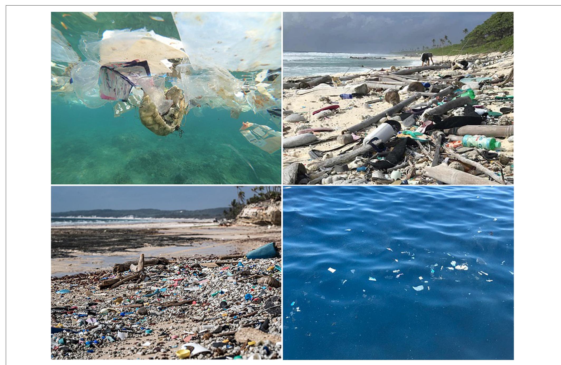 | examples of plastic pollution hotspots in australia,