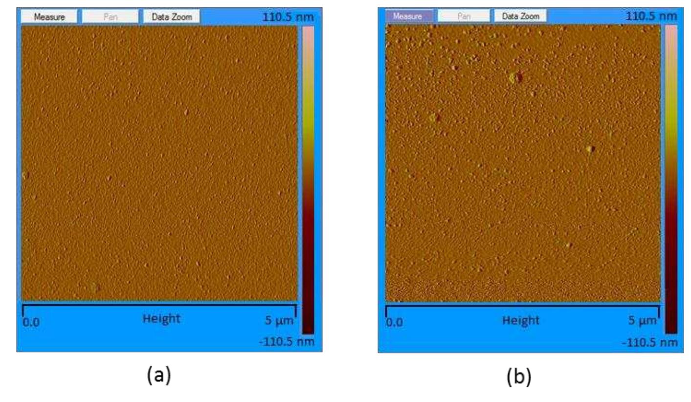 4 — afm pictures showing the surface roughness of titanium