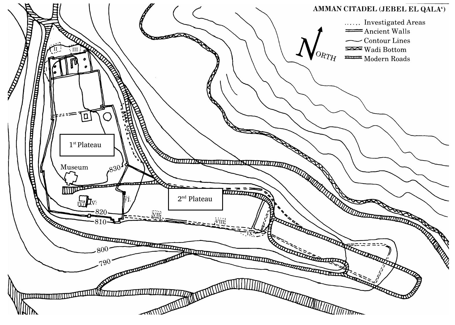 1—plan of amman citadel after dornemann 1983: 197.