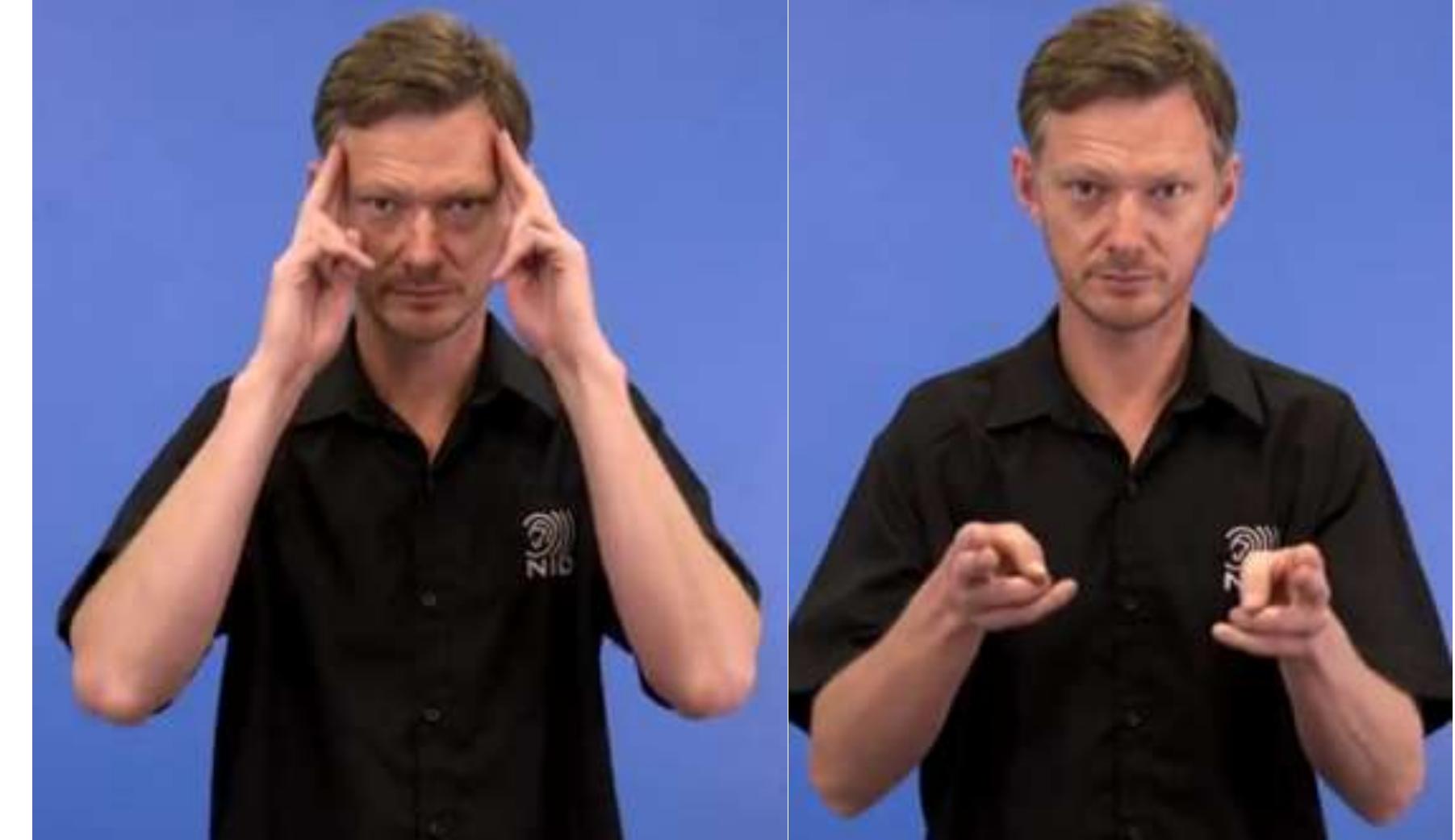 Figure 10 - A lexical comparison of South African sign